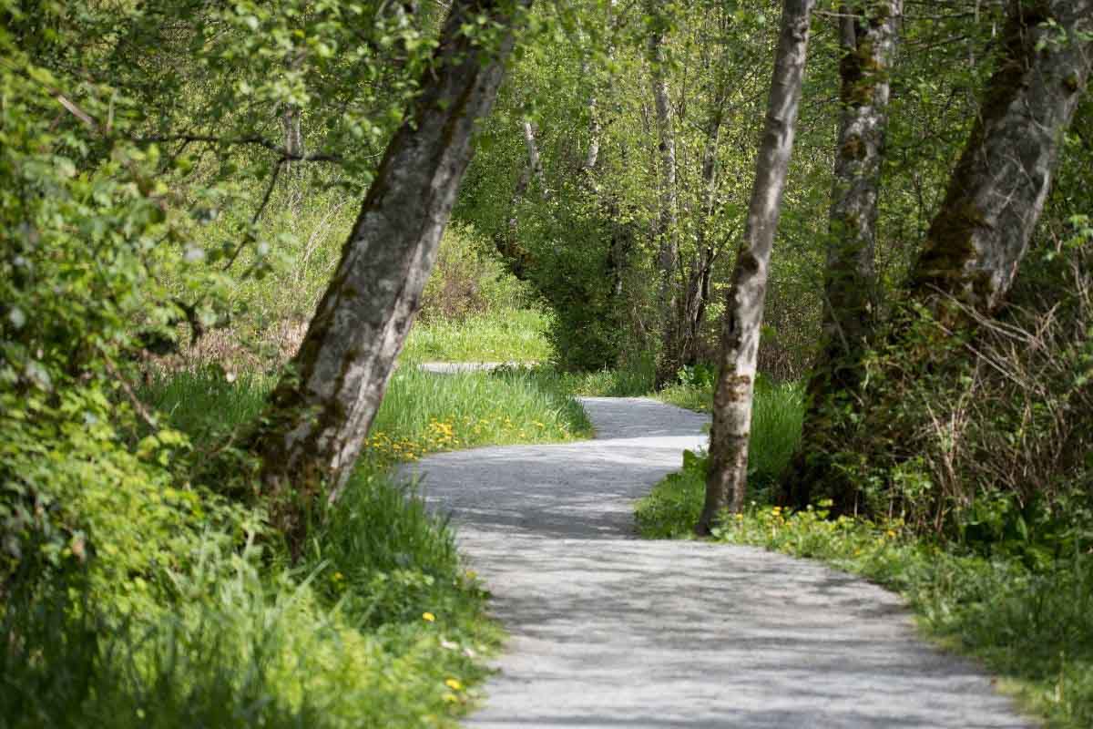 15 Best Running Trails In Santa Fe You Can Visit Today